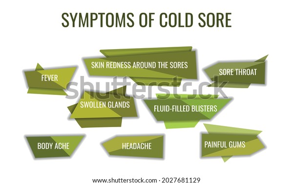 Symptoms Cold Sore Vector Illustration Medical Stock Vector (Royalty ...