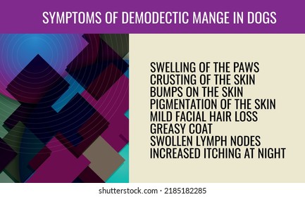 Symptoms Demodectic Mange Dogs Vector Illustration Stock Vector ...