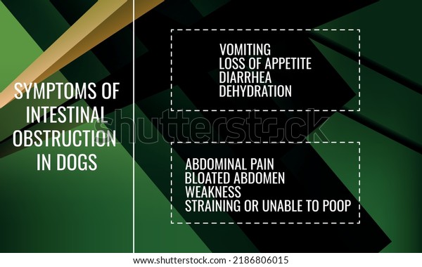 Symptoms Intestinal Obstruction Dogs Vector Illustration: เวกเตอร์สต็อก ...