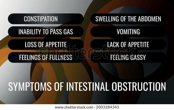 Symptoms Intestinal Obstruction Vector Illustration Medical Stock ...