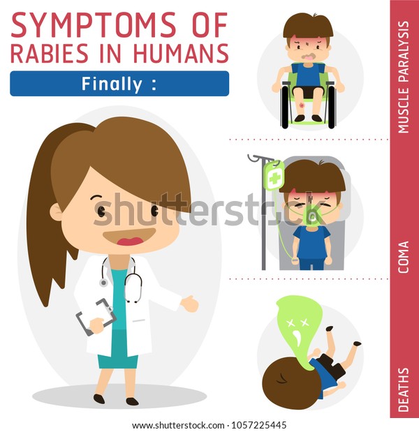Symptoms Rabies Humans Finally Rabies Vector Stock Vector (Royalty Free ...