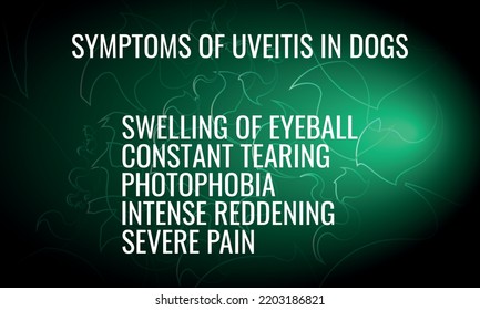 Symptoms Uveitis Dogs Vector Illustration Medical Stock Vector (Royalty ...