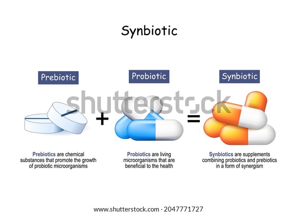 Synbiotics Dietary Supplements Combining Probiotics Prebiotics Stock ...