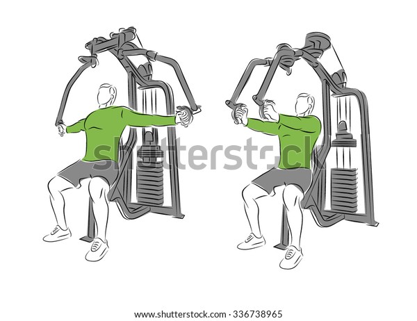 Systematic Bodybuilding Exercises Pectoralis Major Stock Vector ...