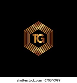 T G Logo Stock Vector (Royalty Free) 670840999 | Shutterstock