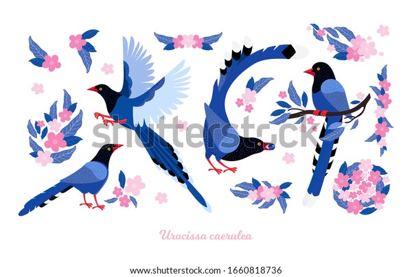 12,166 Taiwan Blue Magpie Images, Stock Photos & Vectors | Shutterstock
