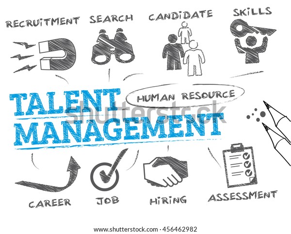 Talent Management Chart Keyword Icons Vector Stock Vector (Royalty Free ...