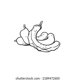 Tamarind Hand Drawing Illustration Black Color Stock Vector (Royalty ...