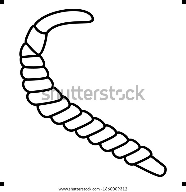 Tapeworm Parasite Logo Outline Style Stock Vector (Royalty Free ...