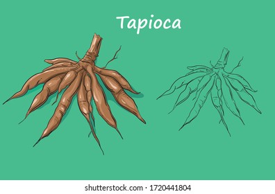 452 Tapioca root Stock Vectors, Images & Vector Art | Shutterstock
