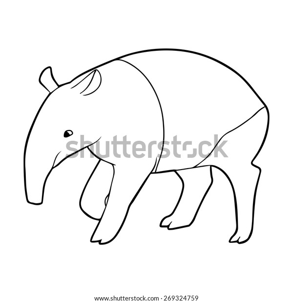 Tapir Outline Illustration: stockvector (rechtenvrij) 269324759 ...