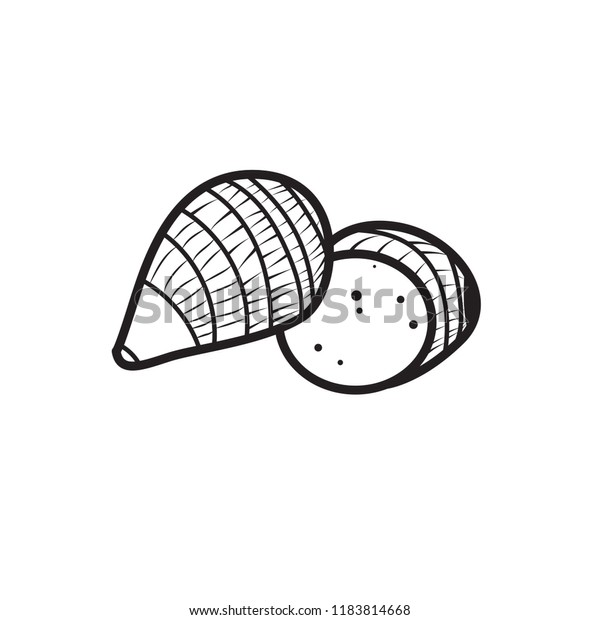 Taro Doodle Icon Outline Stock Vector (Royalty Free) 1183814668 ...