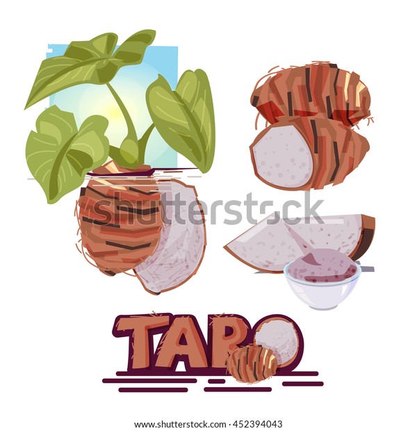 Taro logo : 603 images, photos et images vectorielles de stock ...