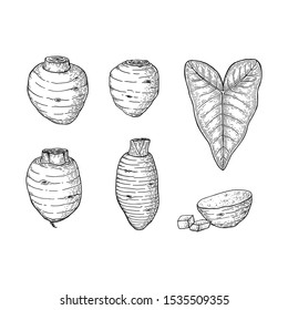 Dalo Images, Stock Photos & Vectors | Shutterstock