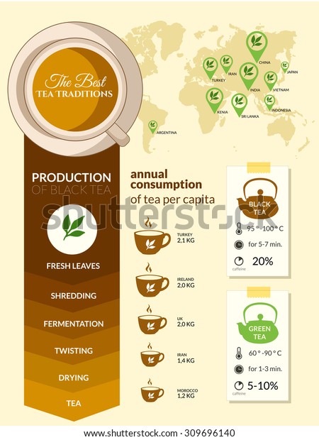 Tea Infographics Statistics Hot Beverages Vector Stock Vector (Royalty ...