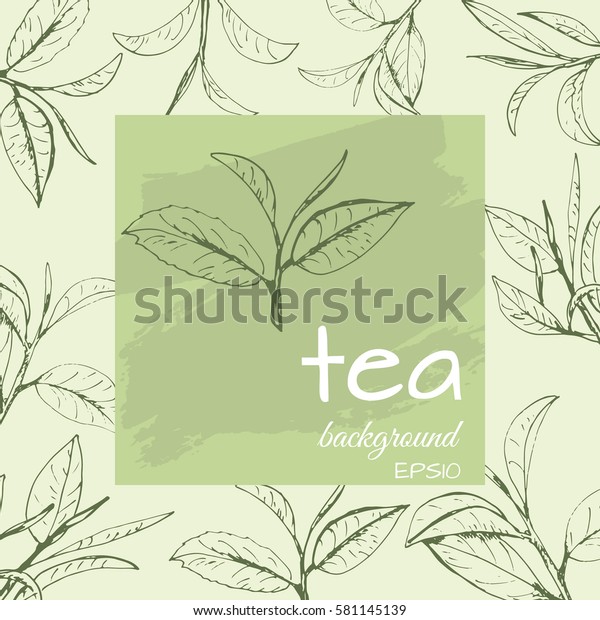 Tea Logo Vector Background Painted Leaves Stock Vector (Royalty Free ...