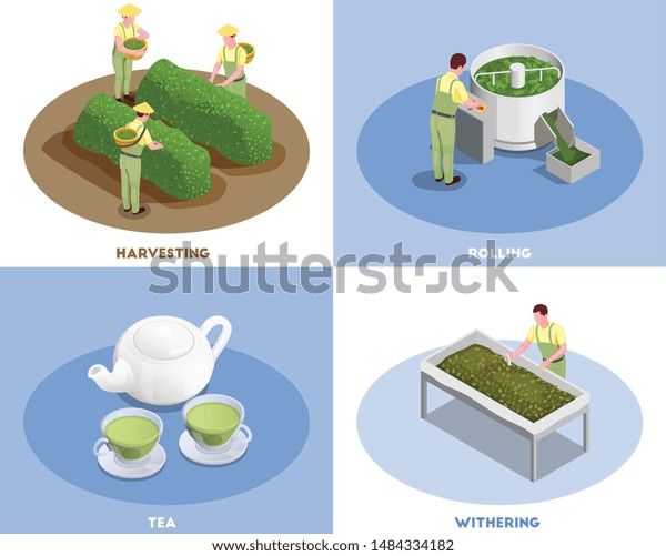 27 Tea Brewing Facility Images, Stock Photos & Vectors | Shutterstock