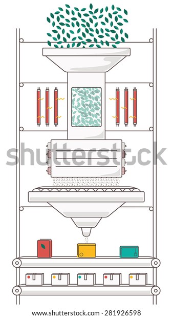 Tea Production Diagram Stock Vector (Royalty Free) 281926598 | Shutterstock