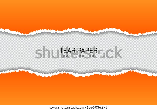 Tear Paper Edge On Transparent Background Stock Vector (Royalty Free ...