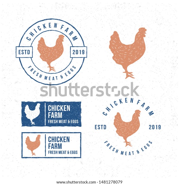 Template Chicken Logo Labels Badges Design Stock Vector (Royalty Free ...