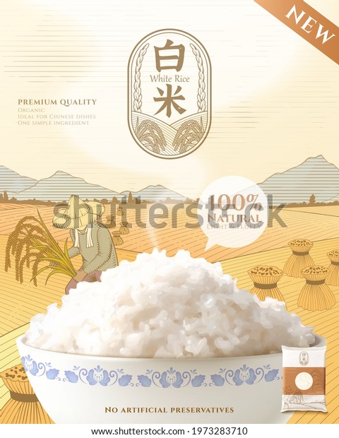Template Rice Product Ad 3d Mockup Stock Vector (Royalty Free ...