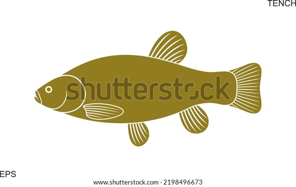 Tench Logo Isolated Tench On White Stock Vector (Royalty Free ...