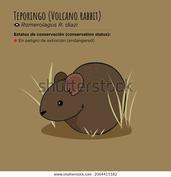 201 Volcano Rabbit Bilder, Stockfotos und Vektorgrafiken | Shutterstock