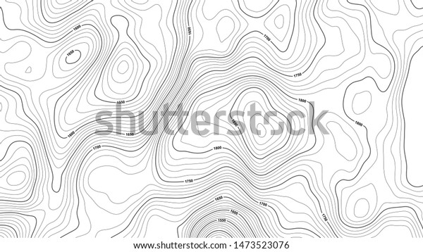 Terrain Lines Based On Heights Landscape Stock Vector (Royalty Free ...