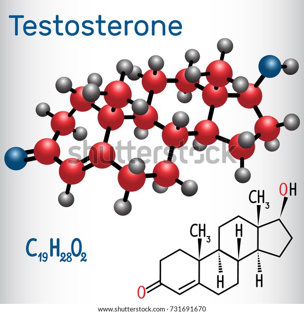 Testosterone Anabolic Steroid Structural Chemical Formula Stock Vector ...