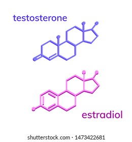 Testosterone Estradiol Chemical Formulas Stock Vector (Royalty Free ...