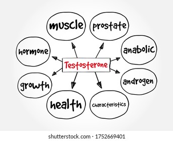 Testosterone Mind Map Medical Concept Presentations Stock Vector ...