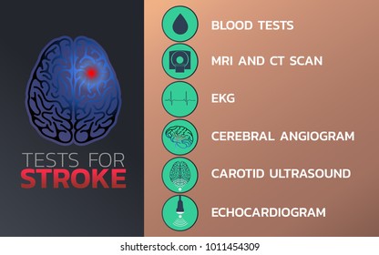 Tests Stroke Icon Design Infographic Health Stock Vector (Royalty Free ...
