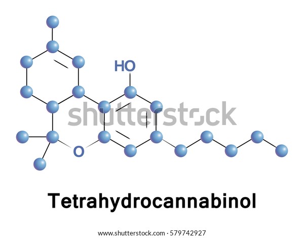 Tetrahydrocannabinol Principal Psychoactive Constituent Cannabinoid ...