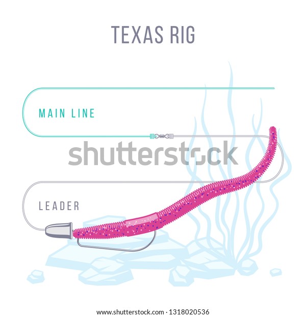 Texas Rig Fishing Tackle Setup Scheme Stock Vector (Royalty Free ...