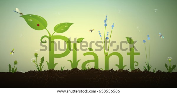 Text Letters Plant Green Spring Sprout Stock Vector (Royalty Free ...