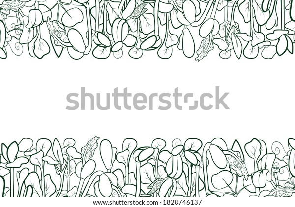 Texture Microgreens Low Calorie Diet Healthy Stock Vector (Royalty Free ...