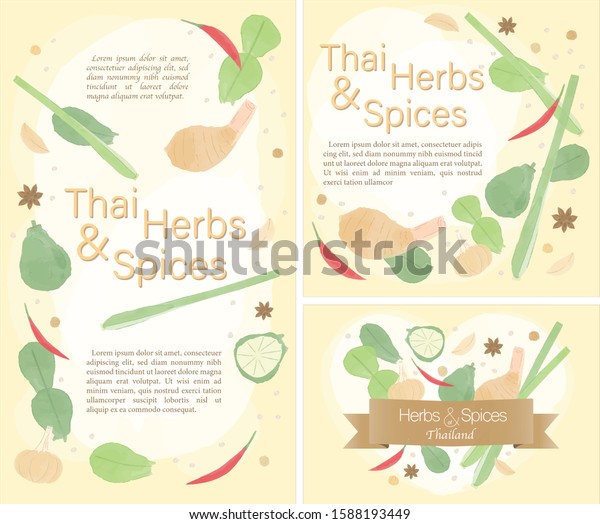 Thai Herbs Spices Infographic Presentation Web Stock Vector (Royalty ...