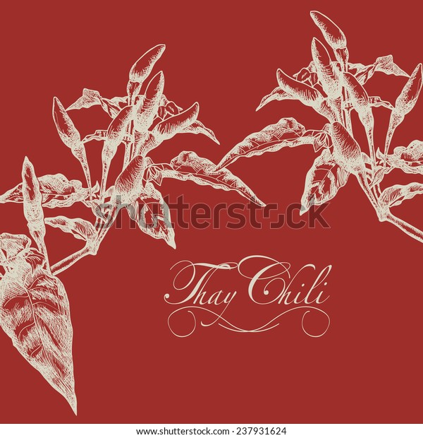 Thai Hot Chili Pepper Stock Vector (Royalty Free) 237931624 | Shutterstock