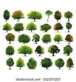 Thick Green Trees Vector Graphics Stock Vector (Royalty Free ...