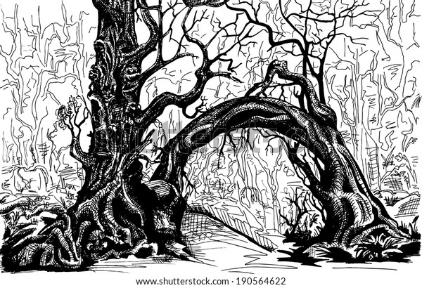 Thicket Felled Trees Drawing Black White Stock Vector (Royalty Free ...