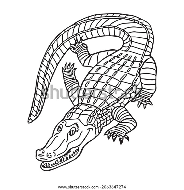 This Alligator Alligator Line Art Alligator Stock Vector (Royalty Free ...
