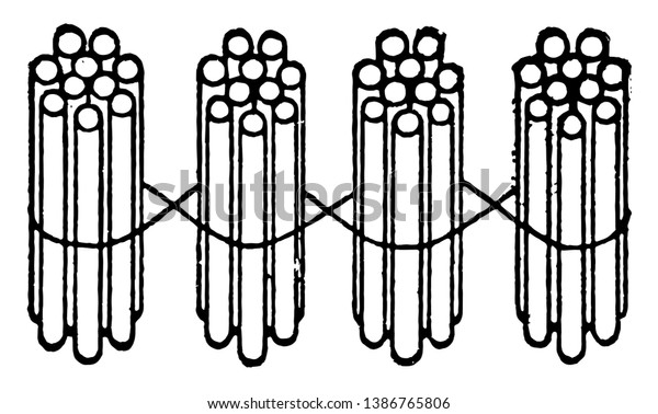 This Counting Card Has Stick Art Stock Vector (Royalty Free) 1386765806 ...