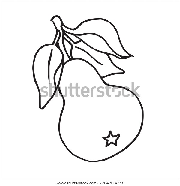 This Cute Beautiful Pear Line Art Stock Vector (Royalty Free ...