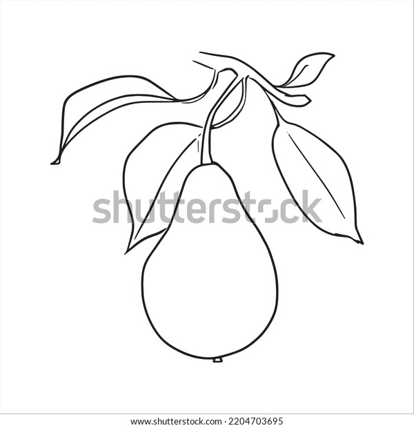 This Cute Beautiful Pear Line Art Stock Vector (Royalty Free ...