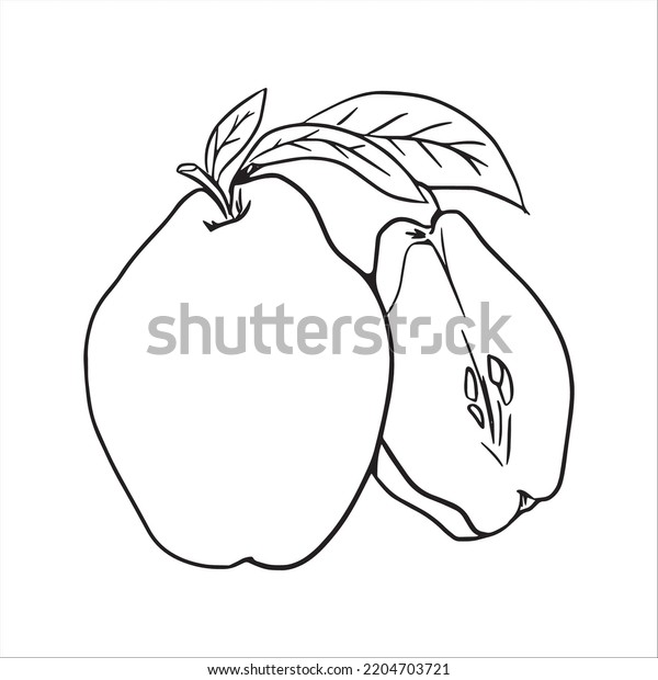 This Cute Beautiful Pear Line Art Stock Vector (Royalty Free ...