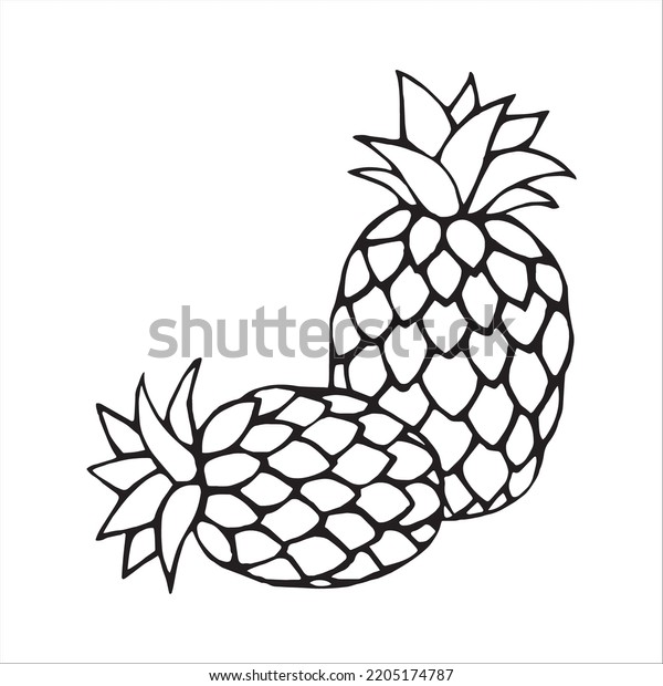 This Cute Beautiful Pineapples Line Art Stock Vector (Royalty Free ...