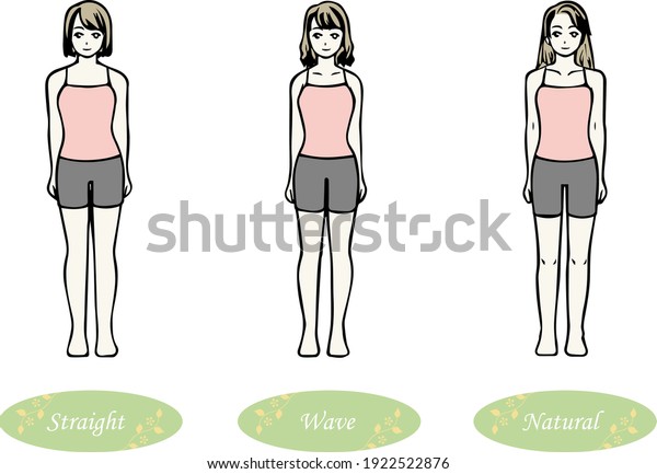 This Illustration Depicts Three Types Body 库存矢量图（免版税）1922522876 ...