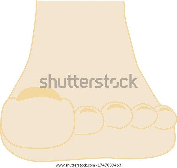 This Illustration Floating Toe Foot Stock Vector (Royalty Free ...