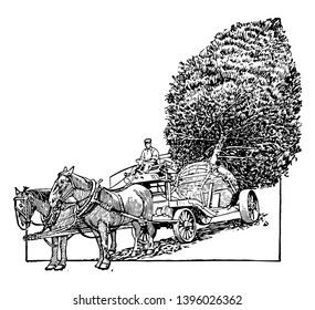 This Illustration Represents Tree Transportation Vintage Stock Vector ...