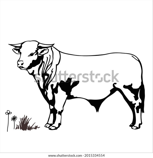 This Outline Cow Image Coloring Stock Vector (Royalty Free) 2015334554 ...